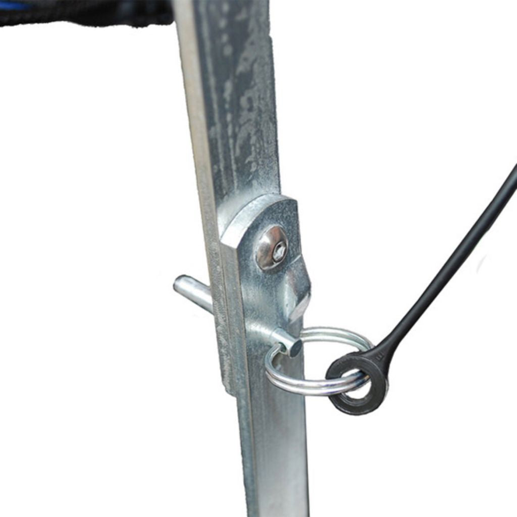 Zinger Winger: Pins and Lanyard (2 Pack) – Bird dog products