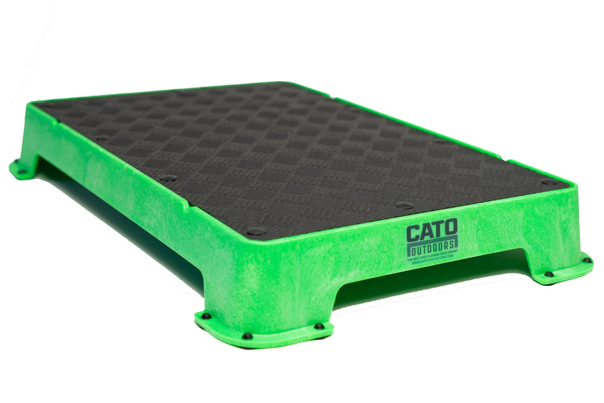 Cato Board Dog Training (Rubber) Platform – Bird dog products