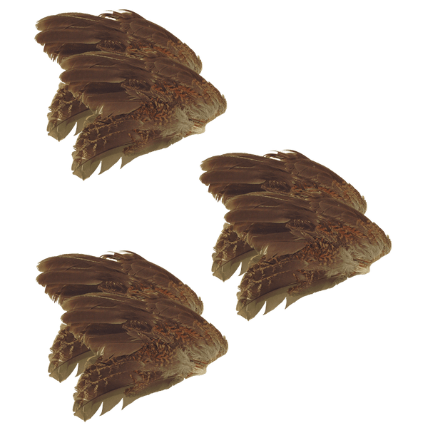 Quail Wings (6 Pack) Classic T Designs – Bird dog products